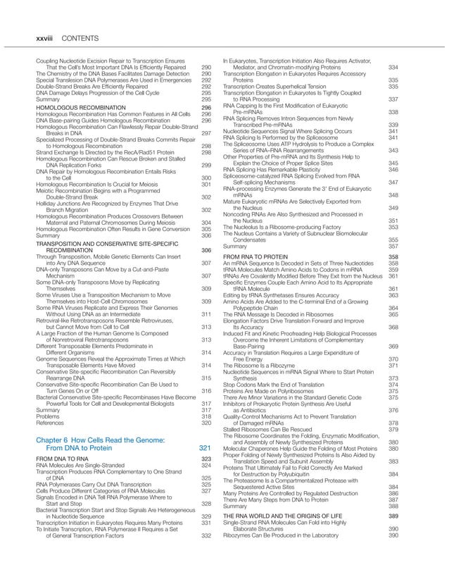 Molecular Biology of the Cell 7th Edition Bruce Alberts | PDF