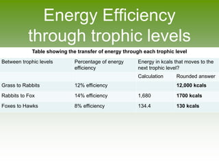 Energy Trophic levels 01232343456789.ppt