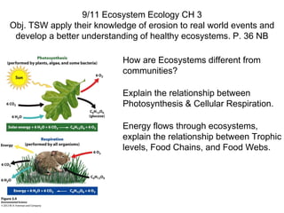 Energy Trophic levels 01232343456789.ppt