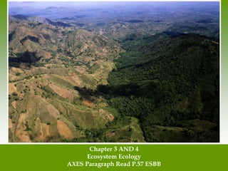 trophic energy levels6706524360692465213.ppt