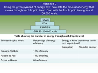 trophic energy levels6706524360692465213.ppt
