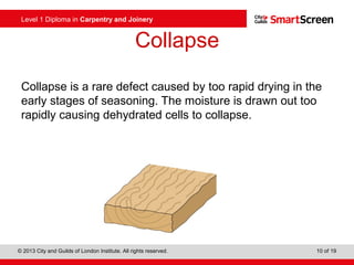 6706 timber defects | PPT