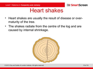 6706 timber defects | PPT