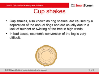 6706 timber defects | PPT