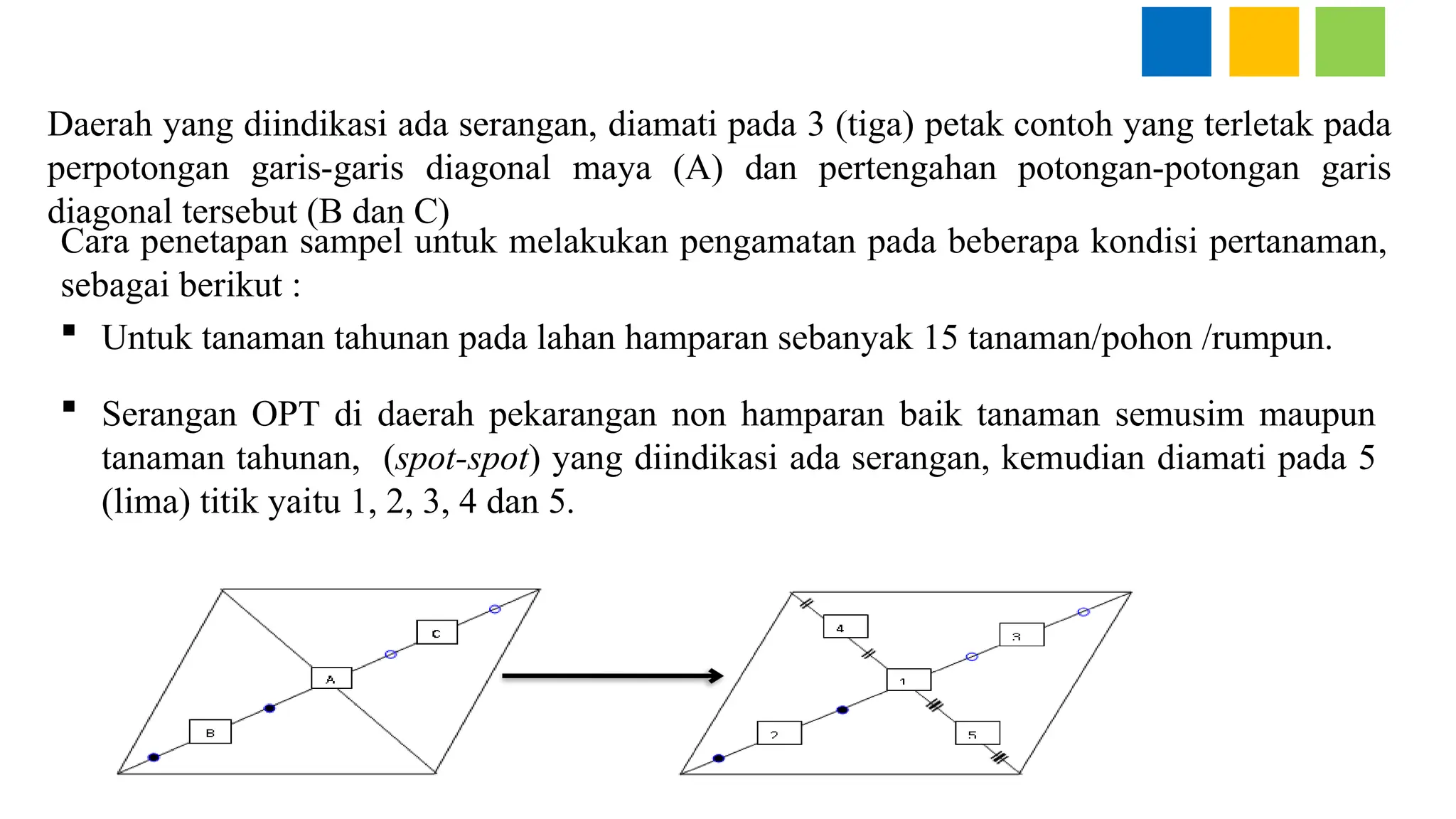 Metode Pengamatan Dan Pelaporan OPT Hortikultura Makasar 2023.pptx