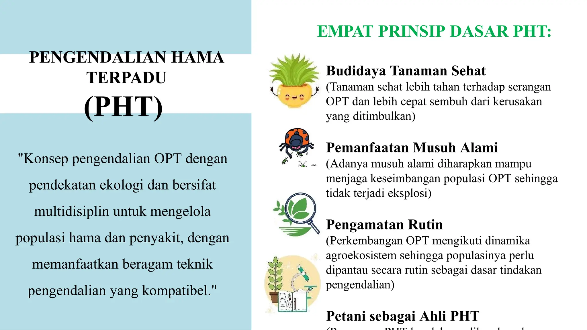 Metode Pengamatan Dan Pelaporan OPT Hortikultura Makasar 2023.pptx