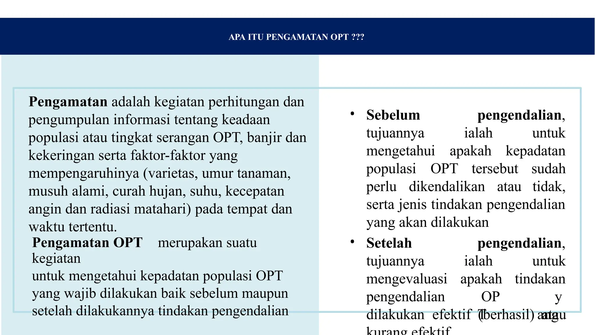 Metode Pengamatan Dan Pelaporan OPT Hortikultura Makasar 2023.pptx