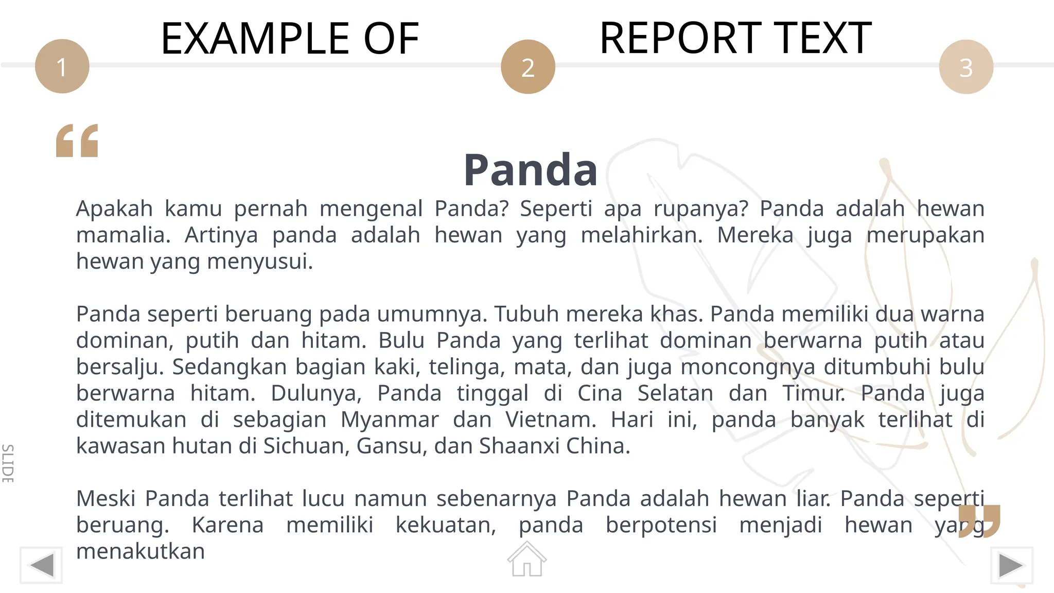 bahasainggriskelas8materi672441469-Report-Text.pptx