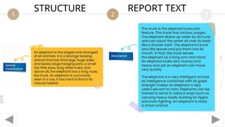 bahasainggriskelas8materi672441469-Report-Text.pptx