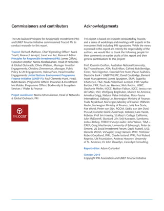 Report Environmental Externalities | PDF