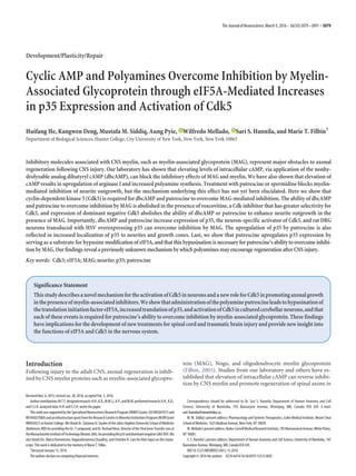 Hypusination paper JNS | PDF