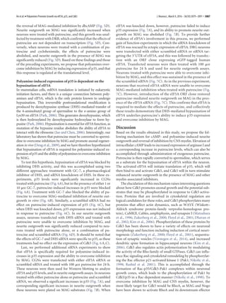 Hypusination paper JNS | PDF