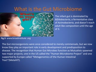 Gut Microbiome Presentation | PPTX