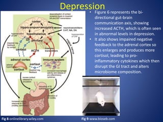 Gut Microbiome Presentation | PPTX