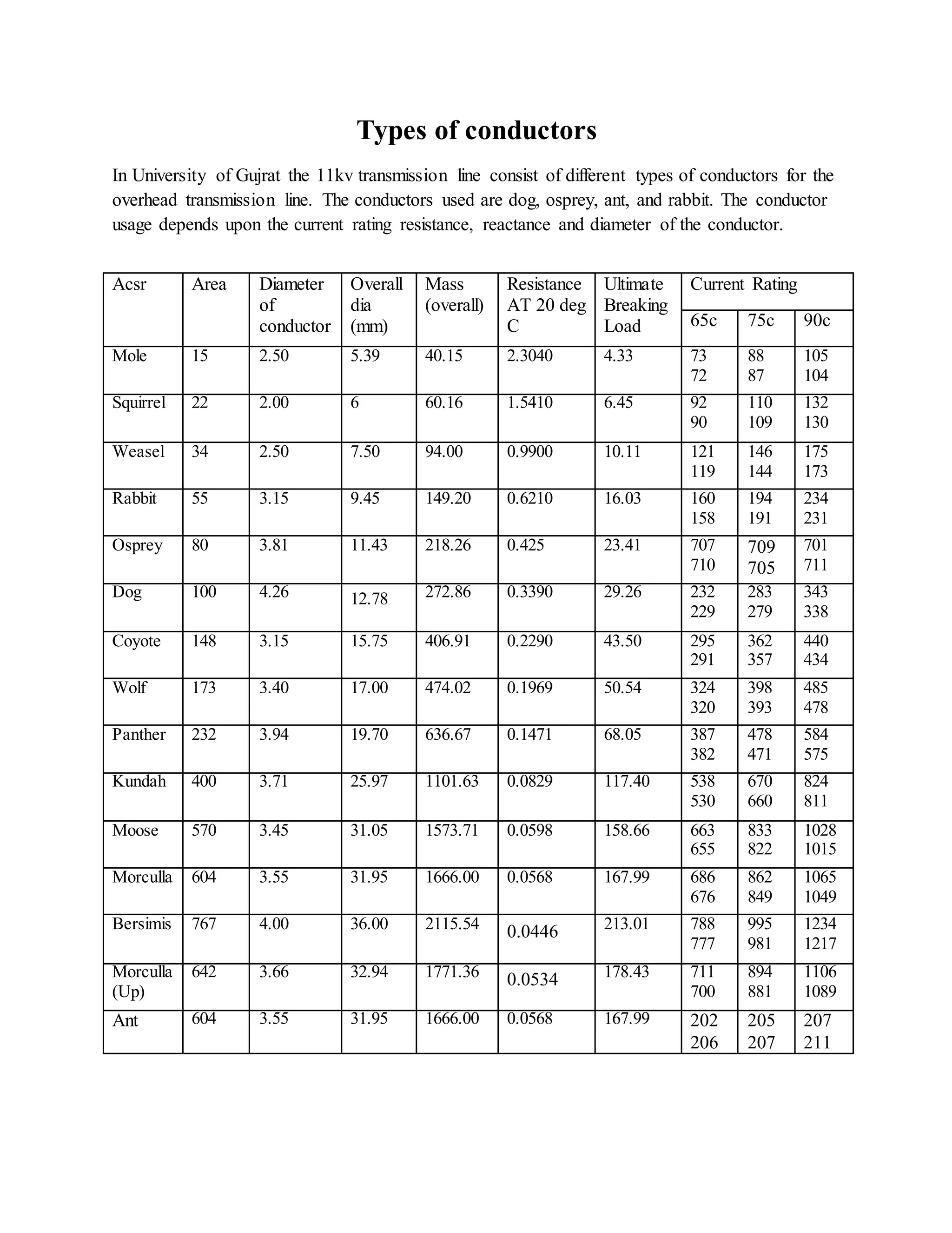 Dog Conductor | DOCX