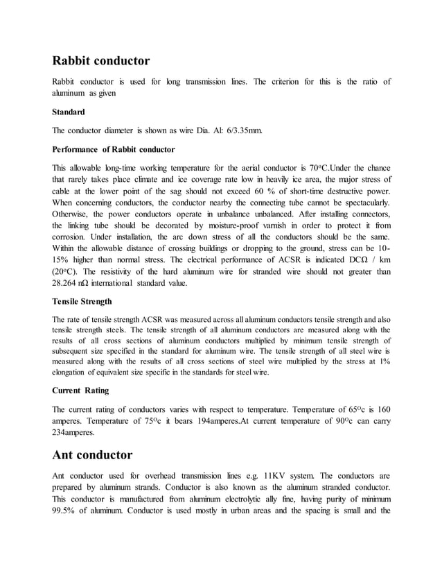 Dog Conductor | DOCX | Physics | Science