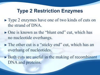 Restriction Enzymes | PPT
