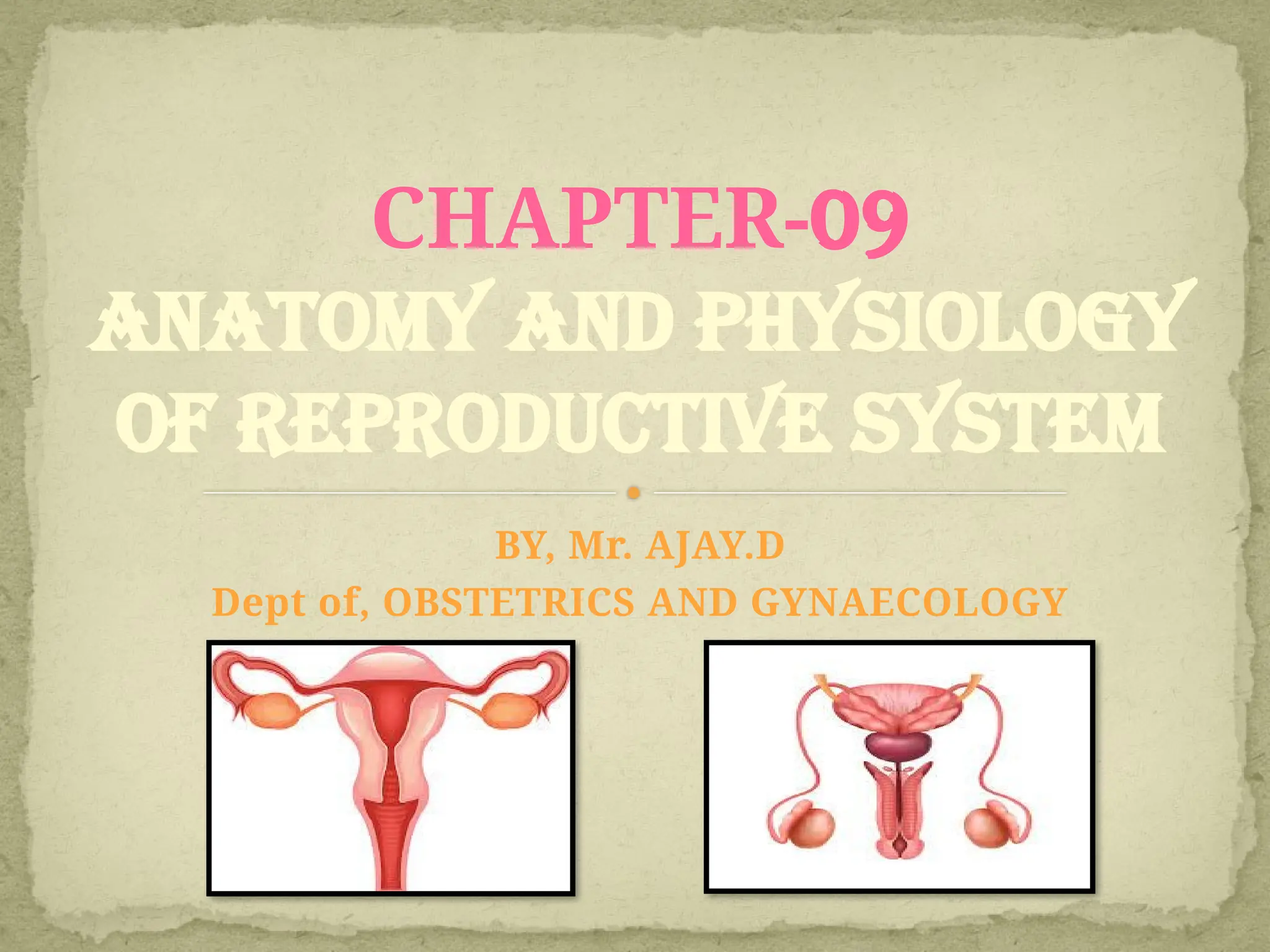675400789-ANATOMY-AND-PHYSIOLOGY-OF-FEMALE-REPRODUCTIVE-SYSTEM-1.pptx