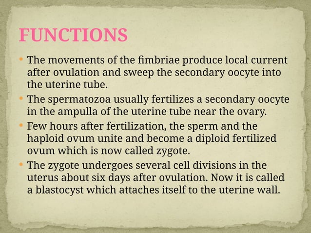 675400789-ANATOMY-AND-PHYSIOLOGY-OF-FEMALE-REPRODUCTIVE-SYSTEM-1.pptx