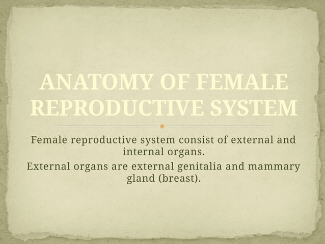 675400789-ANATOMY-AND-PHYSIOLOGY-OF-FEMALE-REPRODUCTIVE-SYSTEM-1.pptx