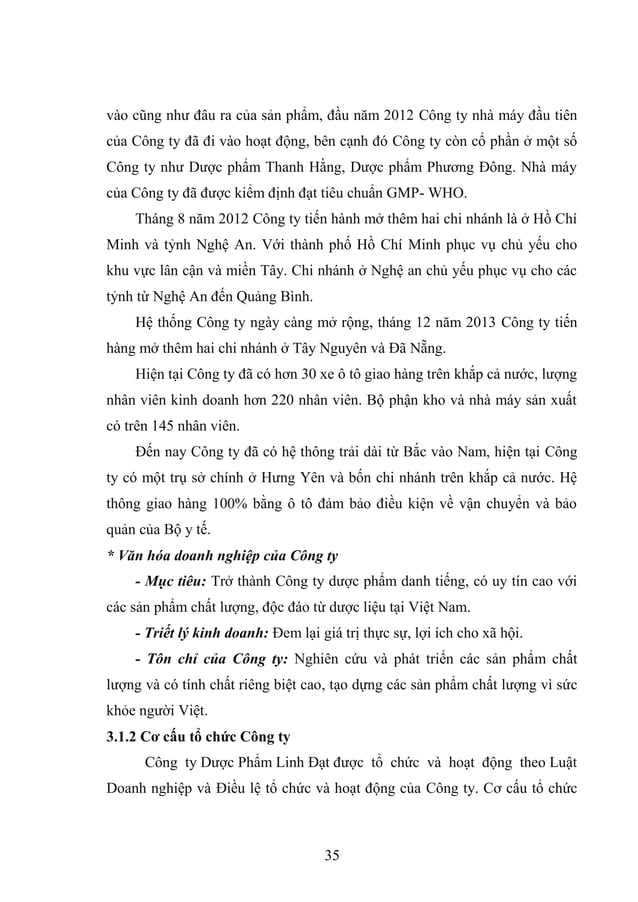 Hoàn thiện chiến lược Marketing Mix của Công ty Dược phẩm Linh Đạt: Luận văn ThS. Kinh doanh và ...