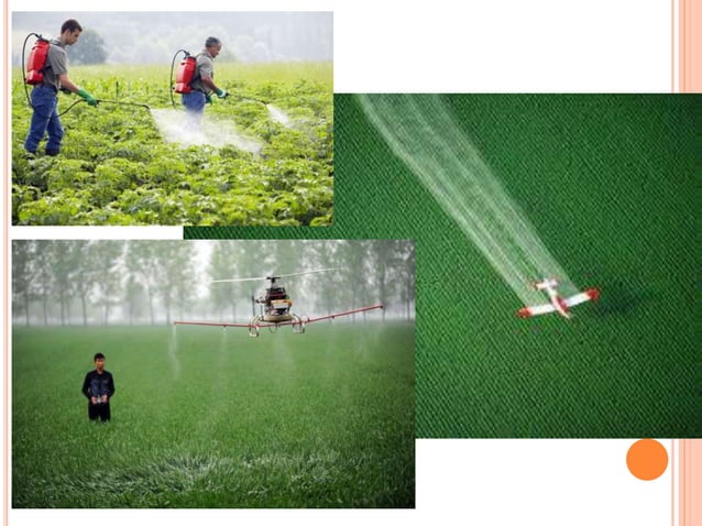 Emerging Trends-Occupational Health and Safety in Plantation sector | PPT