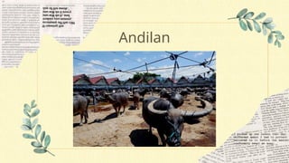 Beberapa tradisi lokal di Indonesia seperti ningkuan, attarasa, dan ...