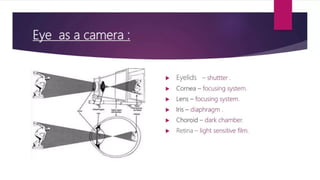 Presentation of optics of eye and ray diagrams | PPTX