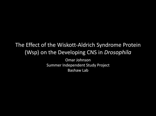 Summer Research Project | PPT