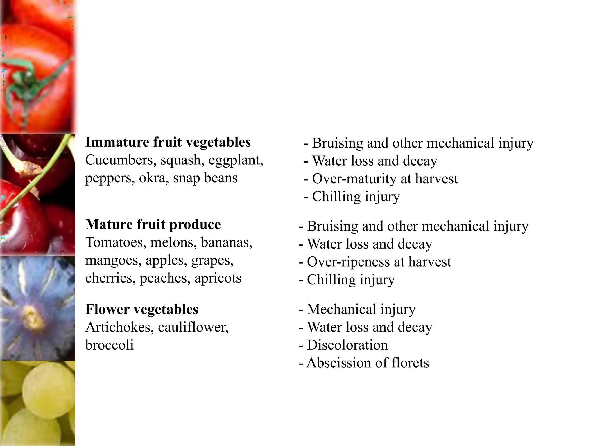 679833973-Fresh-Cut-Fruits-and-Vegetable-Processing-and-Packaging.pptx