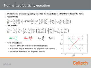 Impact of Karlovitz and Reynolds Numbers on Vortex Evolution Through ...