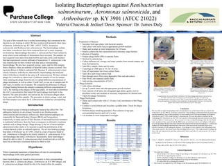 Bacteriophages poster | PPTX