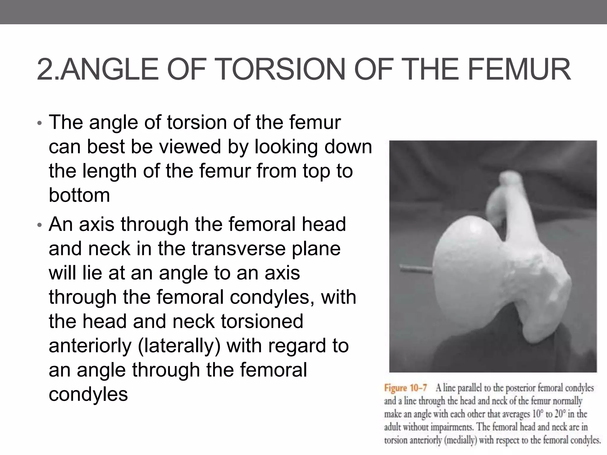 BIOMECHANICS OF HIP JOINT BY Dr. VIKRAM | PPTX