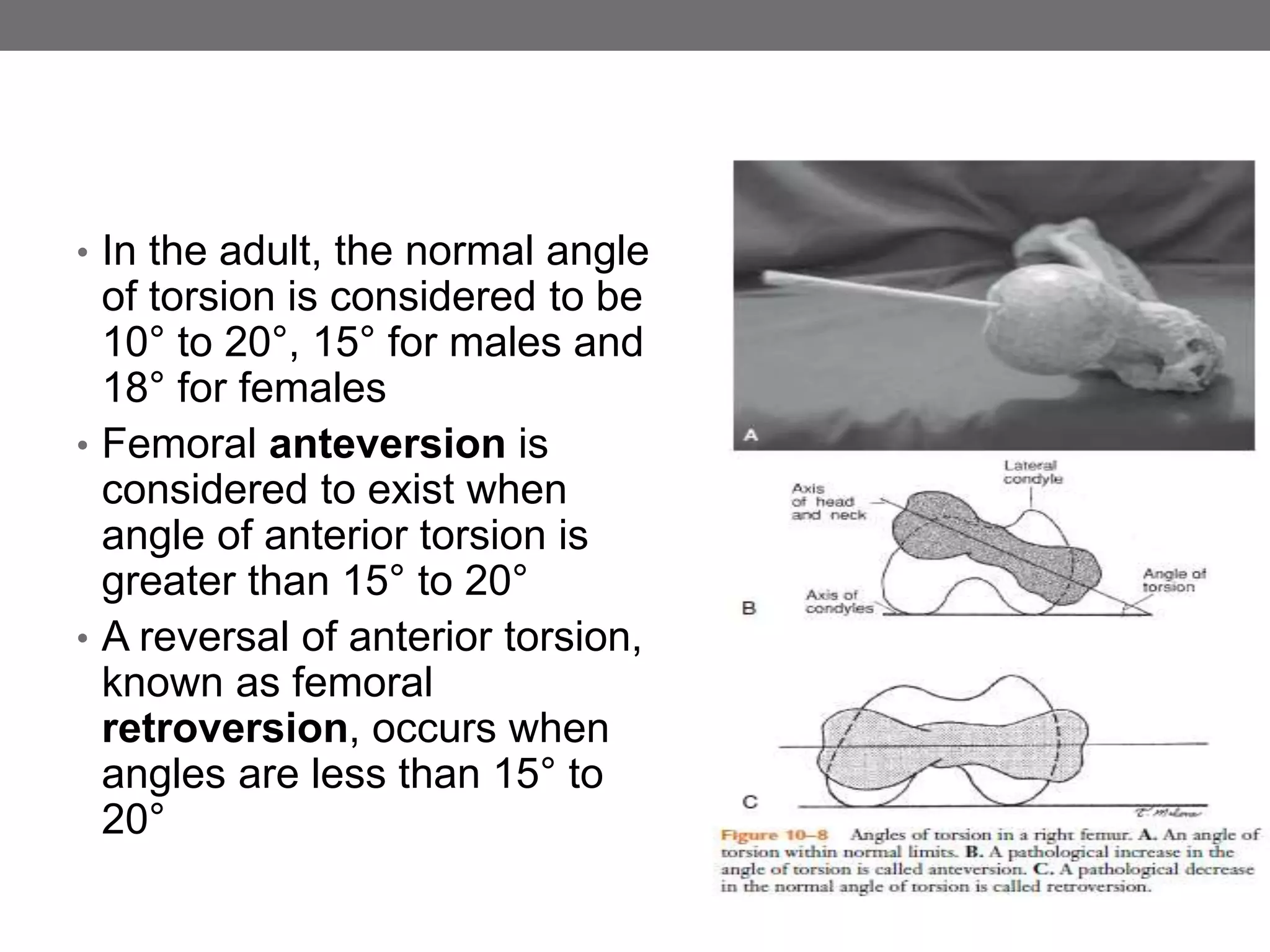 BIOMECHANICS OF HIP JOINT BY Dr. VIKRAM | PPTX