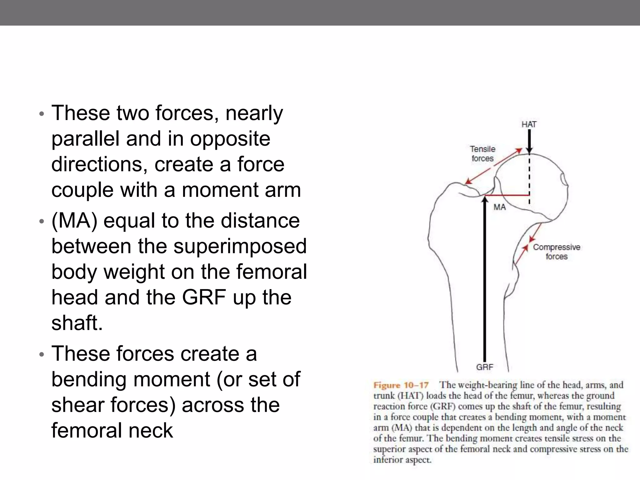 BIOMECHANICS OF HIP JOINT BY Dr. VIKRAM | PPTX