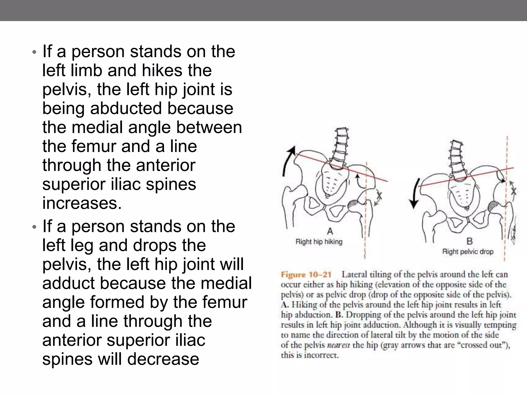 BIOMECHANICS OF HIP JOINT BY Dr. VIKRAM | PPTX