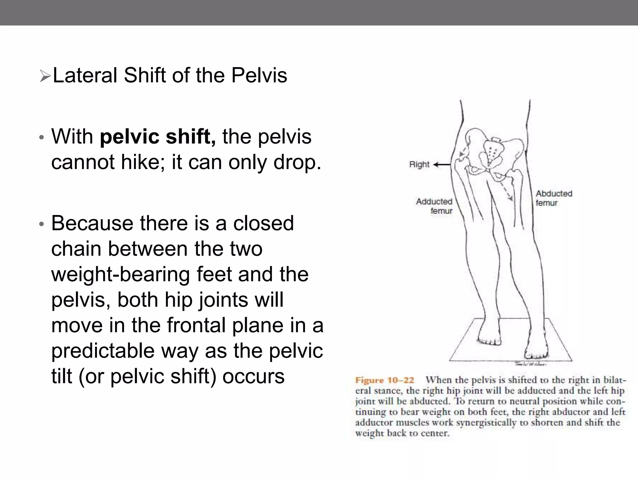 BIOMECHANICS OF HIP JOINT BY Dr. VIKRAM | PPTX