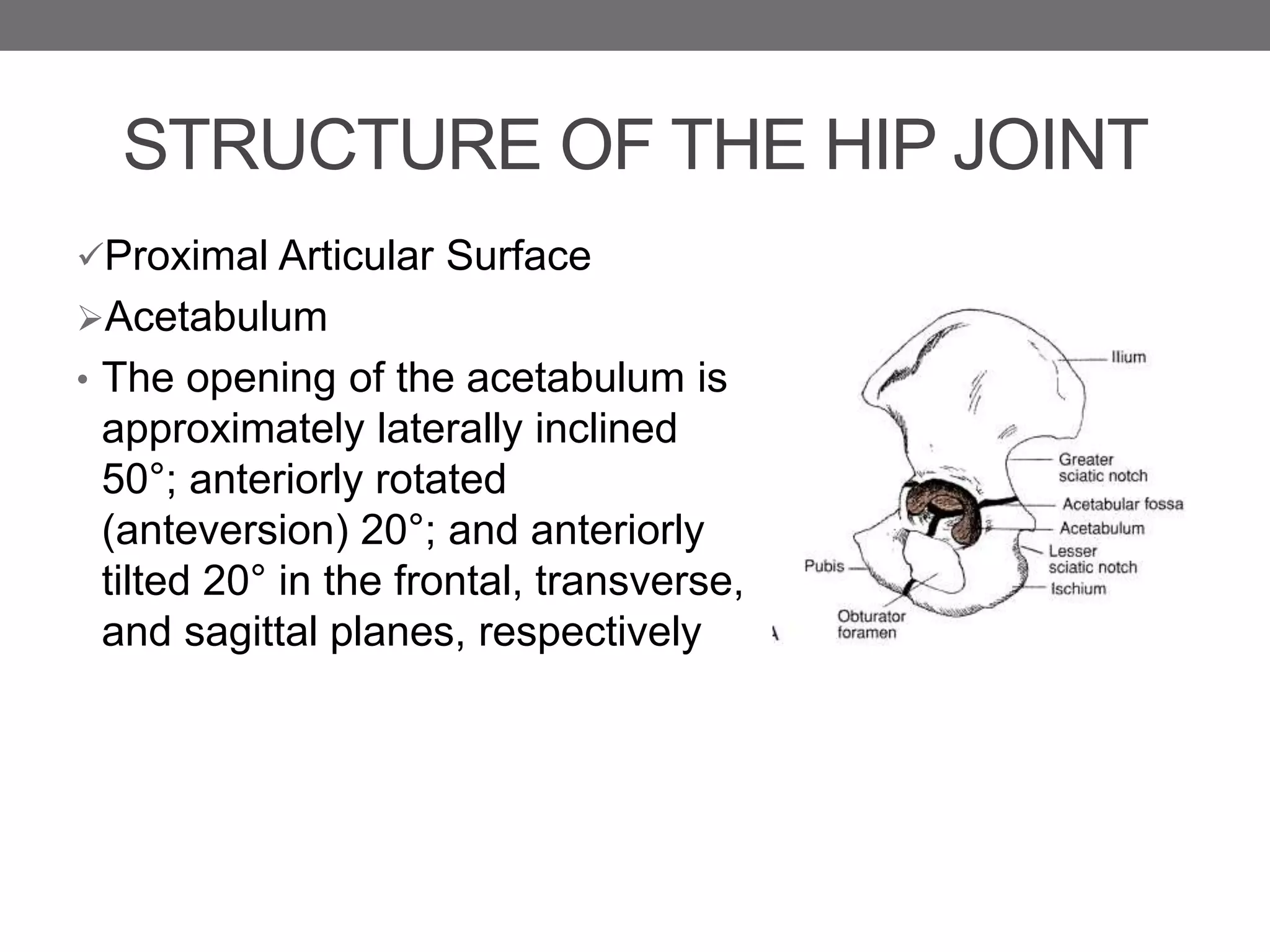 BIOMECHANICS OF HIP JOINT BY Dr. VIKRAM | PPTX
