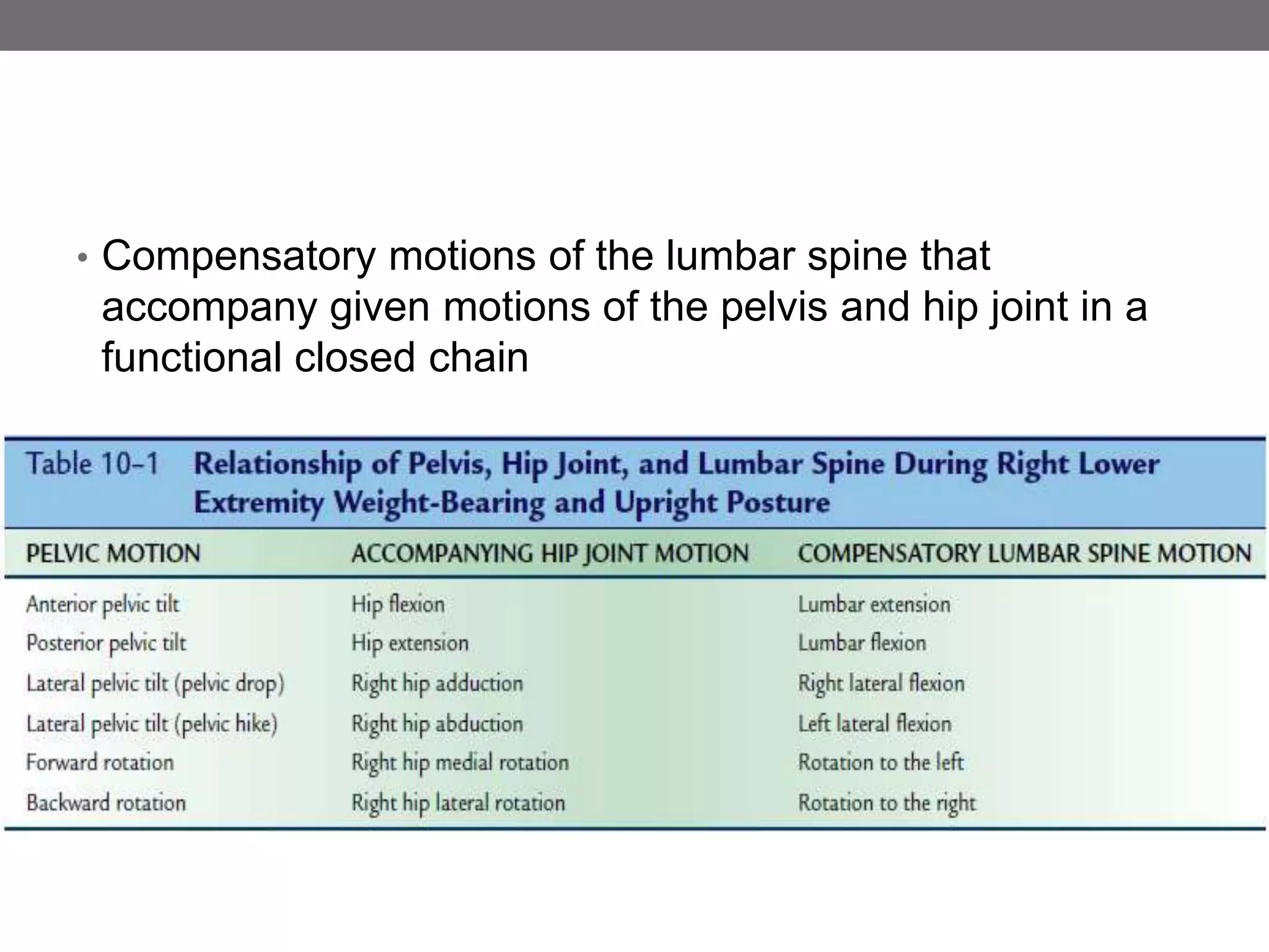 BIOMECHANICS OF HIP JOINT BY Dr. VIKRAM | PPTX