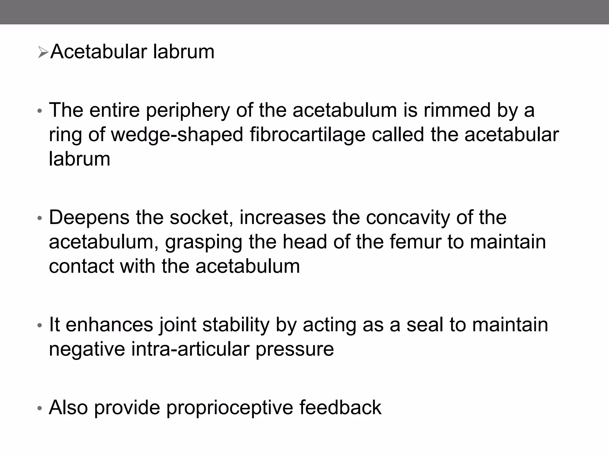 BIOMECHANICS OF HIP JOINT BY Dr. VIKRAM | PPTX