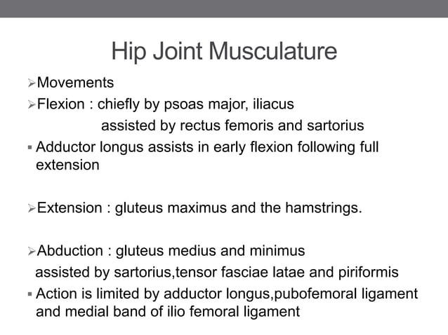 BIOMECHANICS OF HIP JOINT BY Dr. VIKRAM | PPTX