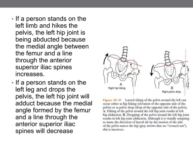 BIOMECHANICS OF HIP JOINT BY Dr. VIKRAM | PPTX
