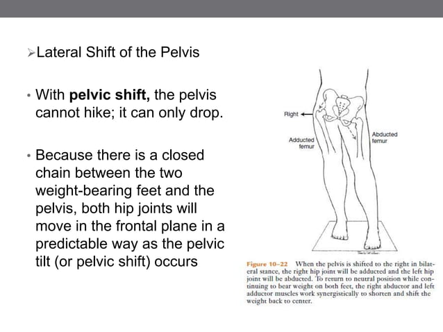 BIOMECHANICS OF HIP JOINT BY Dr. VIKRAM | PPTX