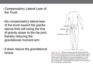 BIOMECHANICS OF HIP JOINT BY Dr. VIKRAM | PPTX