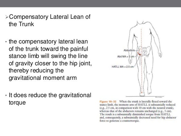 BIOMECHANICS OF HIP JOINT BY Dr. VIKRAM