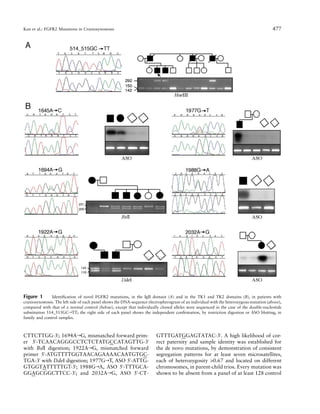 FGFR2 mutation spectrum | PDF