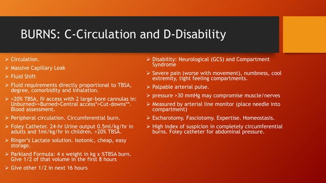 BURNS- Derm Presentation | PPT