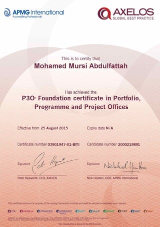 P3O Foundation | PDF