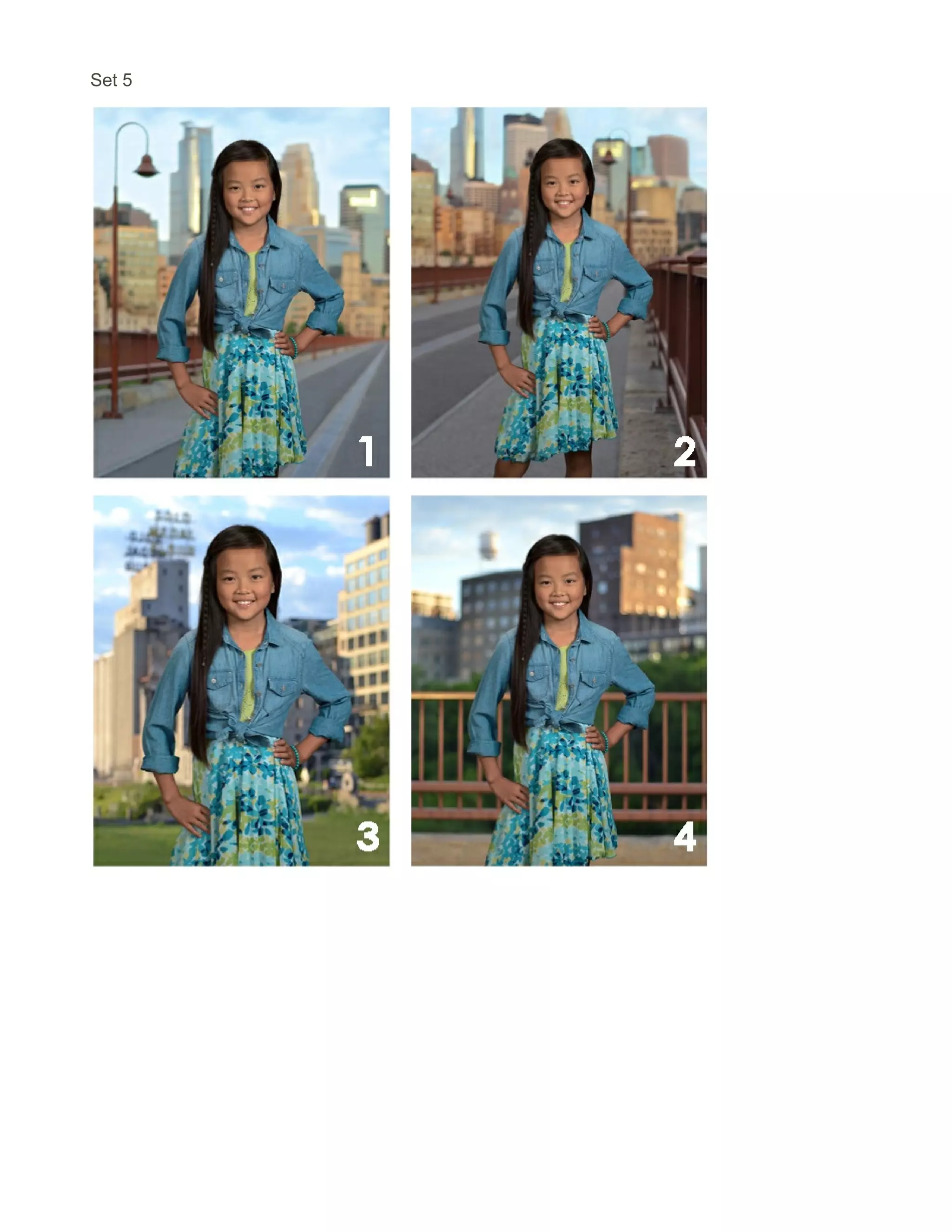 Regional Backgrounds Survey | PDF