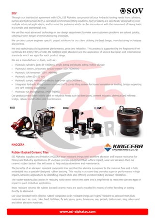 Overview Brochure | PDF